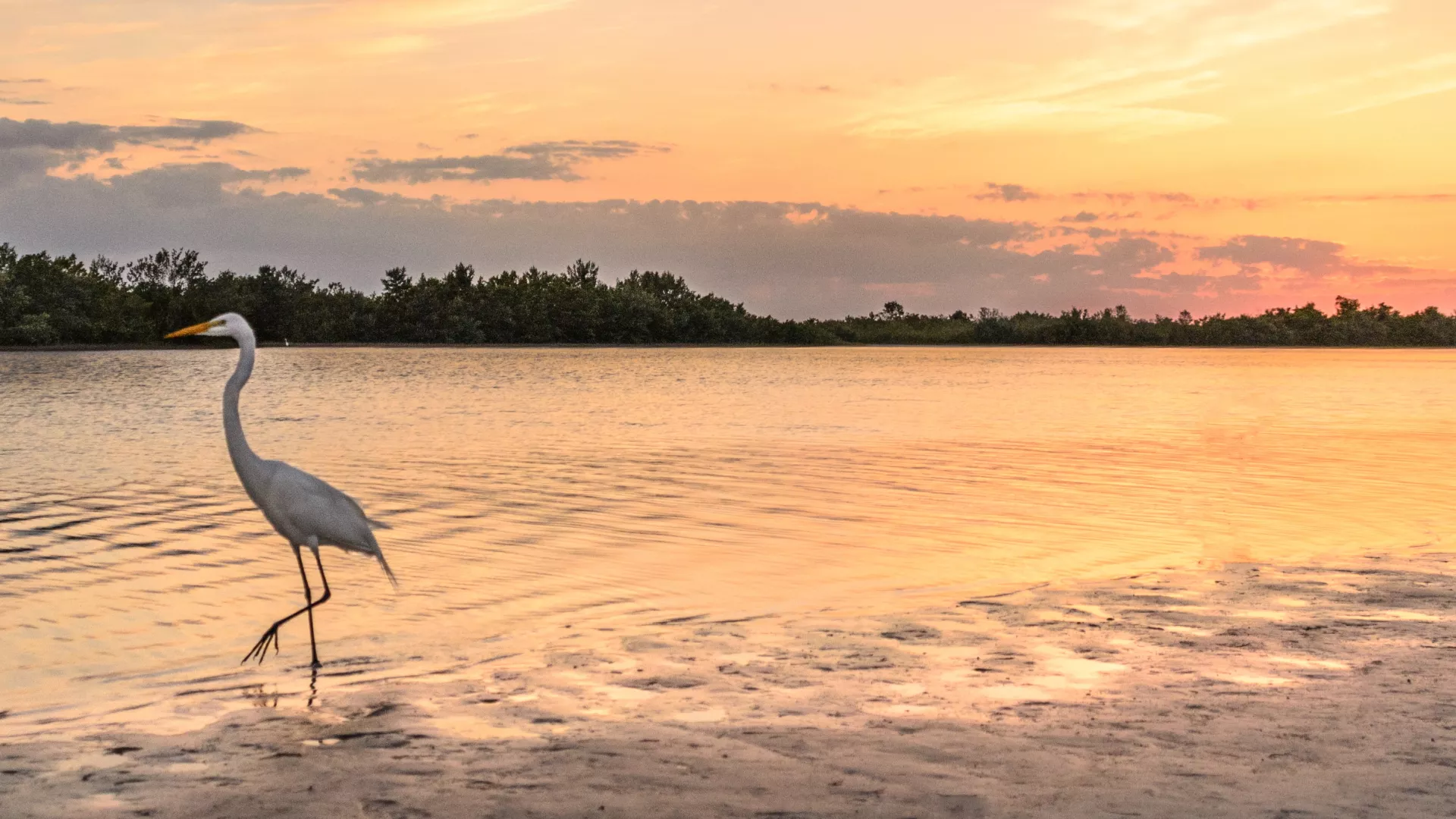 Home Page | Clewiston FL